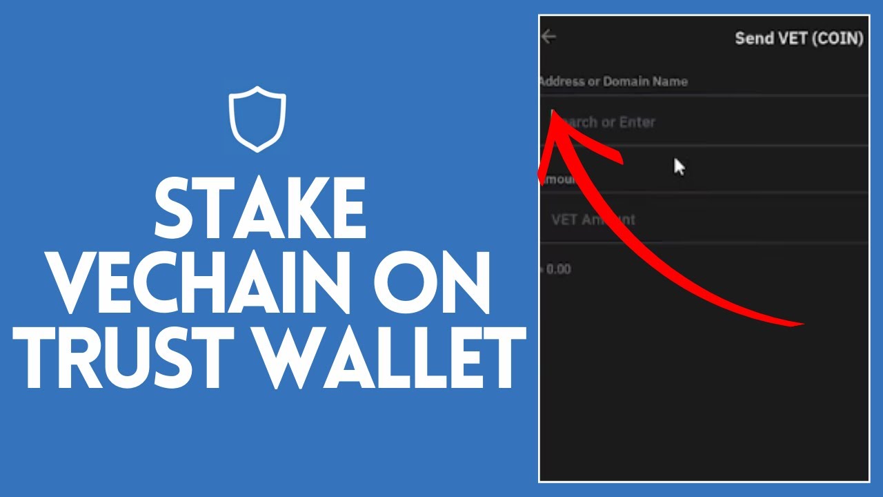 How to Stake Vechain on Trust Wallet 2024? | Trust Wallet Tutorial - YouTube