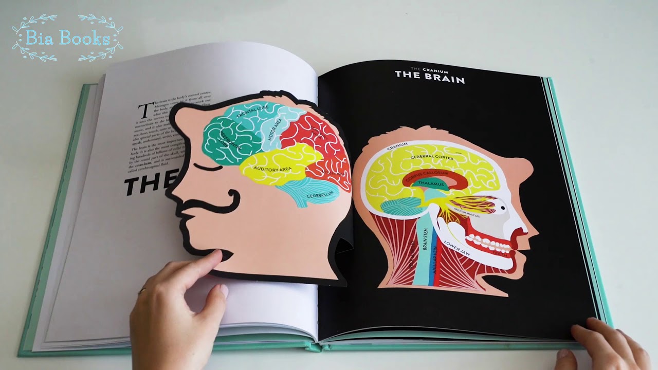 Anatomy: A Cutaway Look Inside the Human Body by Hélène Druvert,‎ Jean ...