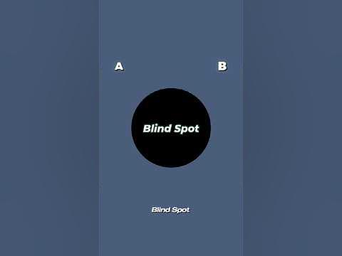 Human Eye Blind Spot!! #shorts #info #facts #english #science - YouTube