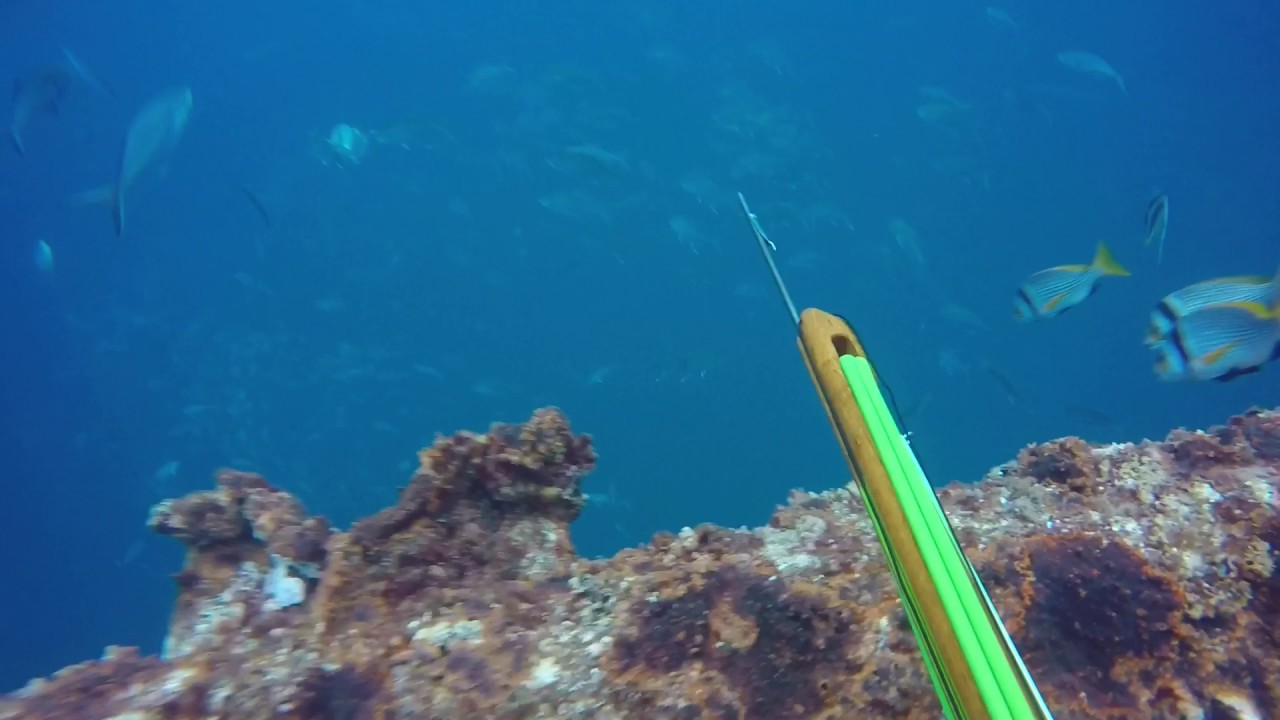 Spearfishing Kuwait Oil Rigs 2017 - Ep.04 - YouTube