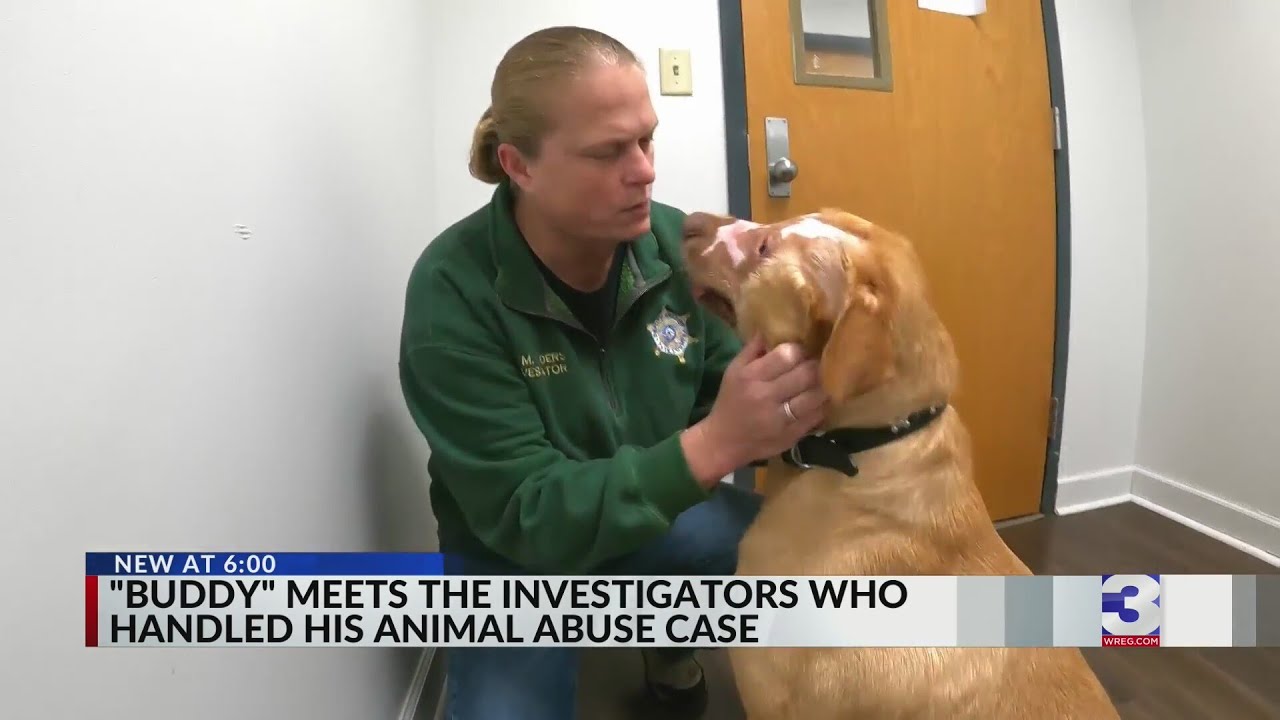 Buddy, the dog set on fire, visits people investigating his case - YouTube