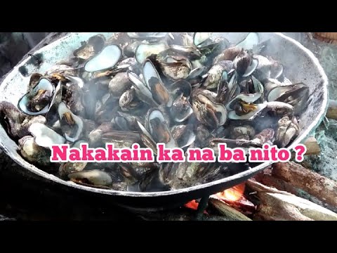 Pinasarap Clam Shell Adobo - YouTube