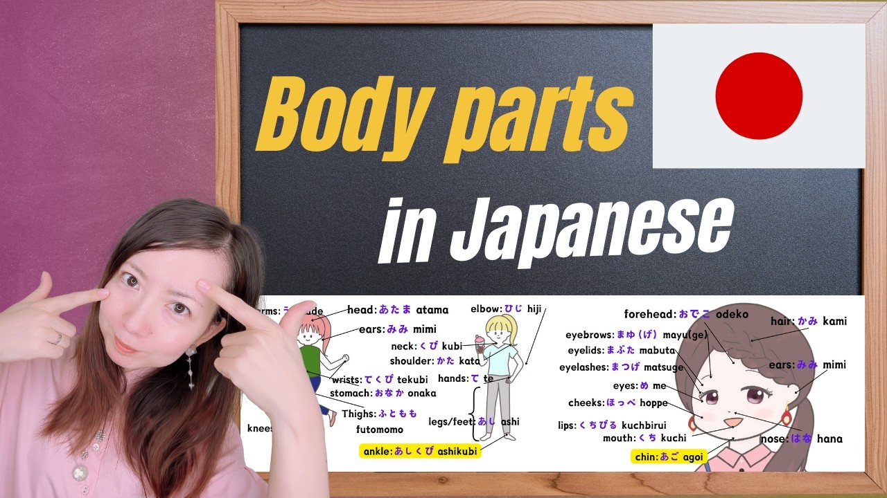 Want to Pass JLPT N4/N5? Learn These Essential Japanese Body Parts Now ...