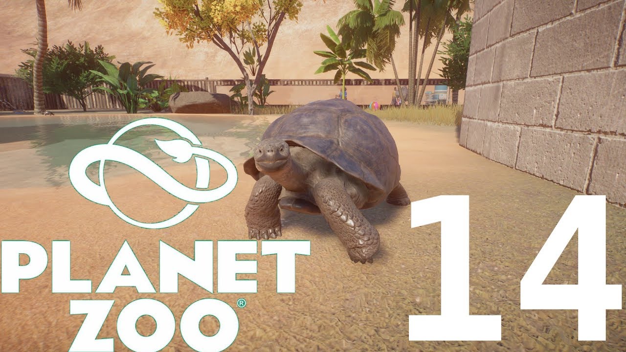 Let's Play Planet Zoo: Franchise (Part 14) - Tropical Tortoises - YouTube