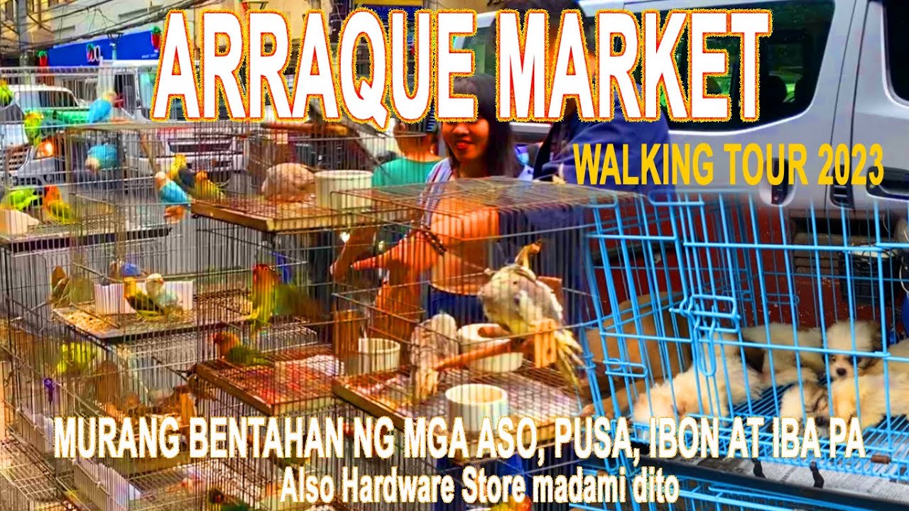 ARRAQUE MARKET MANILA | MURANG BENTAHAN NG MGA ASO, PUSA, IBON AT IBA ...