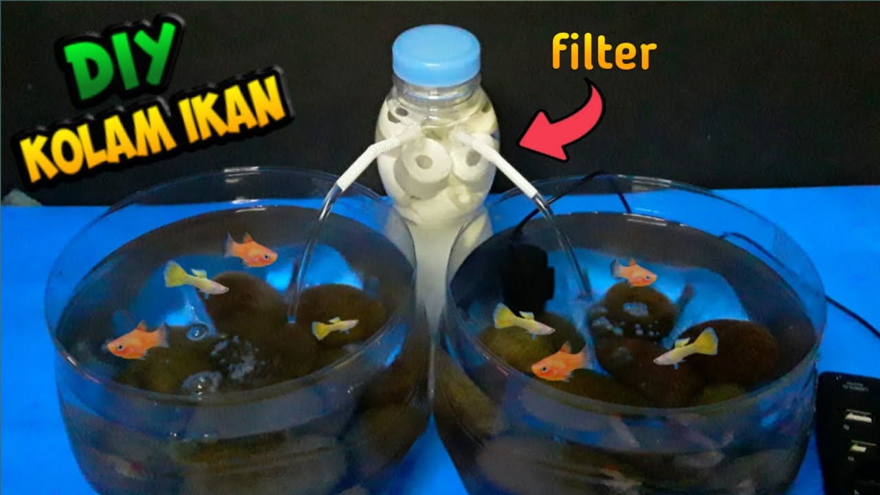 KOLAM IKAN DARI BOTOL PLASTIK | Ide Kreatif - YouTube