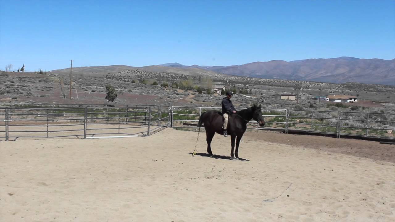 Kids and horses riding bareback - YouTube