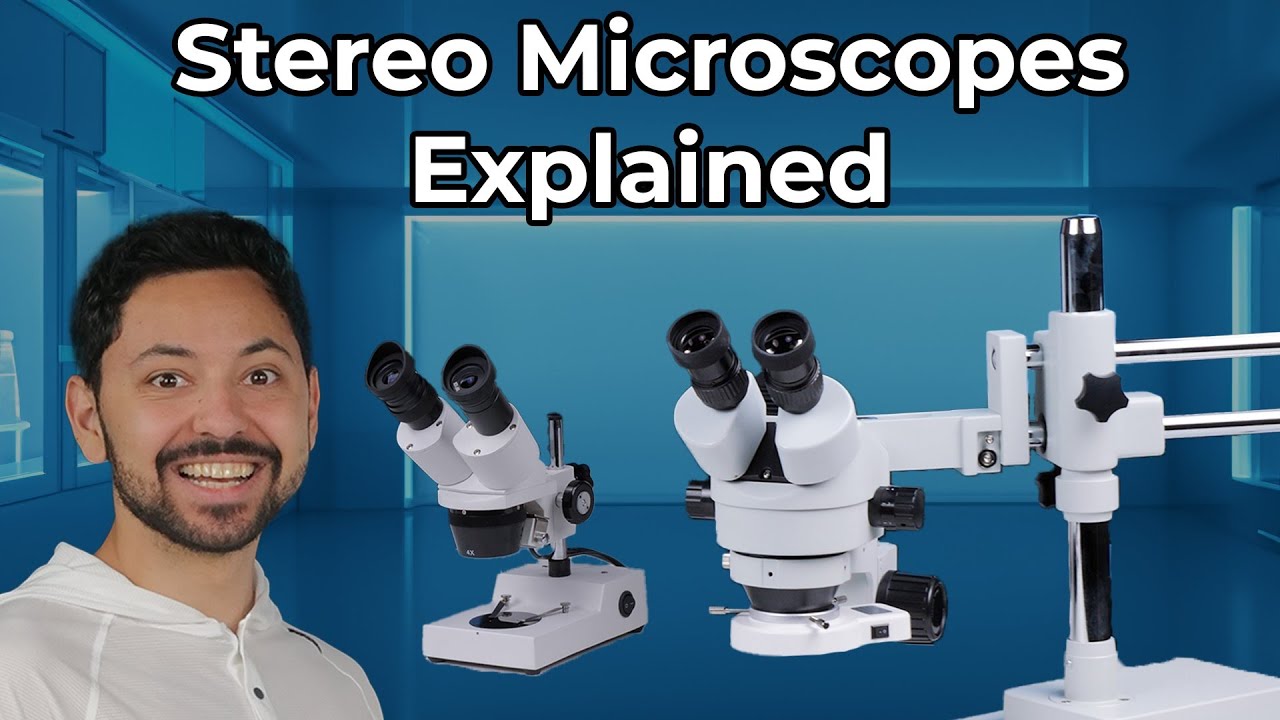 What Is a Dissecting Microscope? (Complete Stereo Guide)