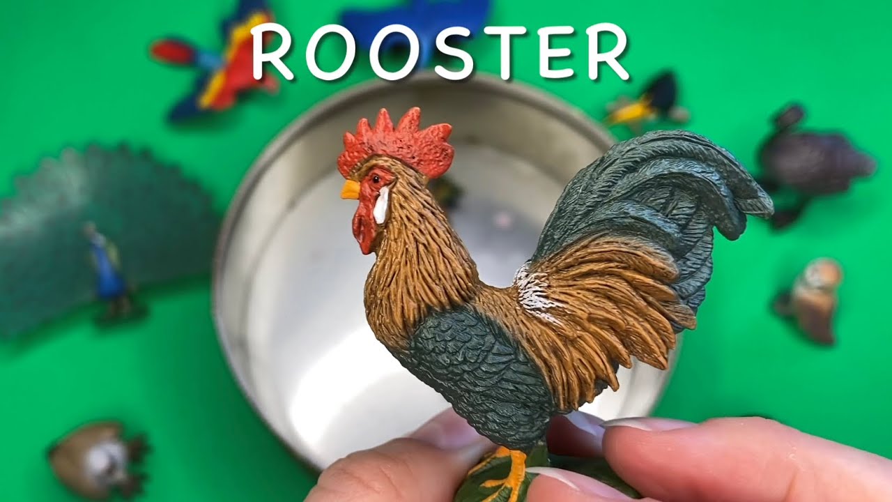 Bird Toy Figurines - Learning Animal Names with Feathered Friends ...