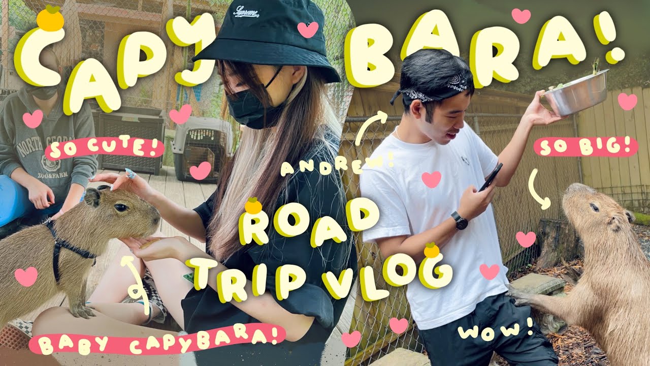 Visiting Capybaras 🥬🥒 | Crayon Shin Chan Cards! | A Fun Vlog ft. Andrew ...
