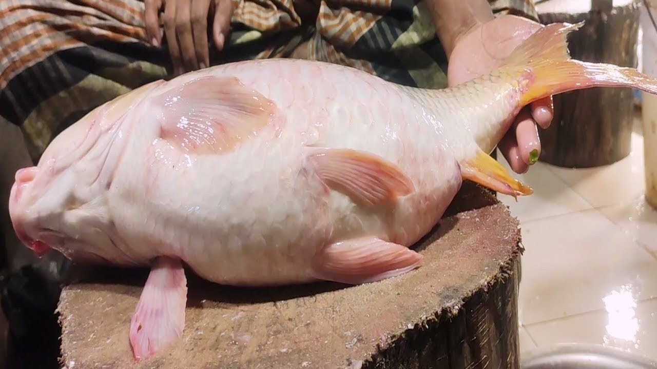 I Never Seen!! Huge Monster Carp Fish Cutting & Skinning Skills In ...