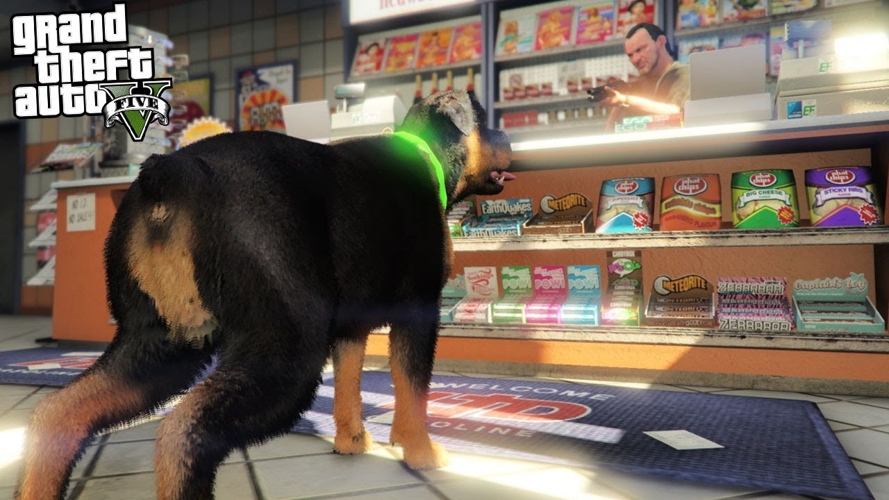 CHOP the DOG ROBS STORE in GTA 5!!! (GTA 5 REAL LIFE PC MOD) - YouTube