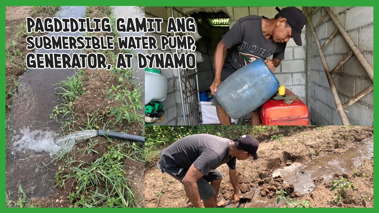 Pagdidilig ng mga Tanim Gamit ang Submersible Water Pump, Generator, at ...