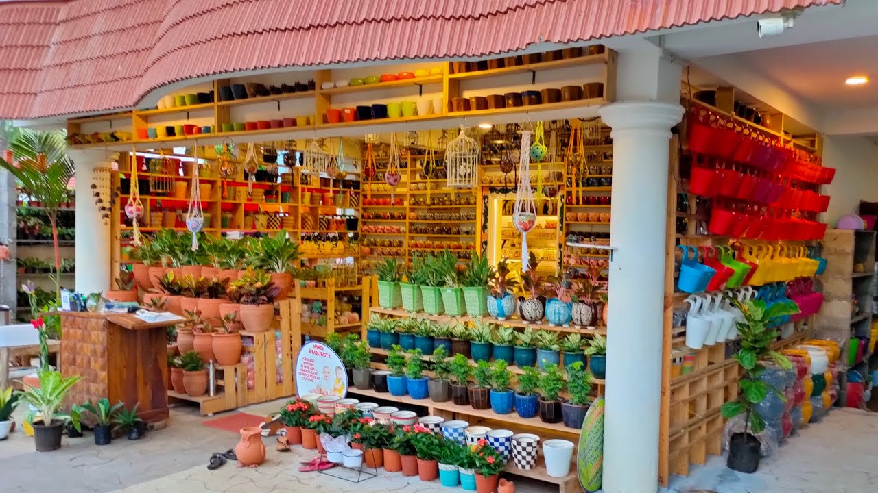 Shopping tour - The Pot Shop Chennai | Gardening | Indoor Plants ...