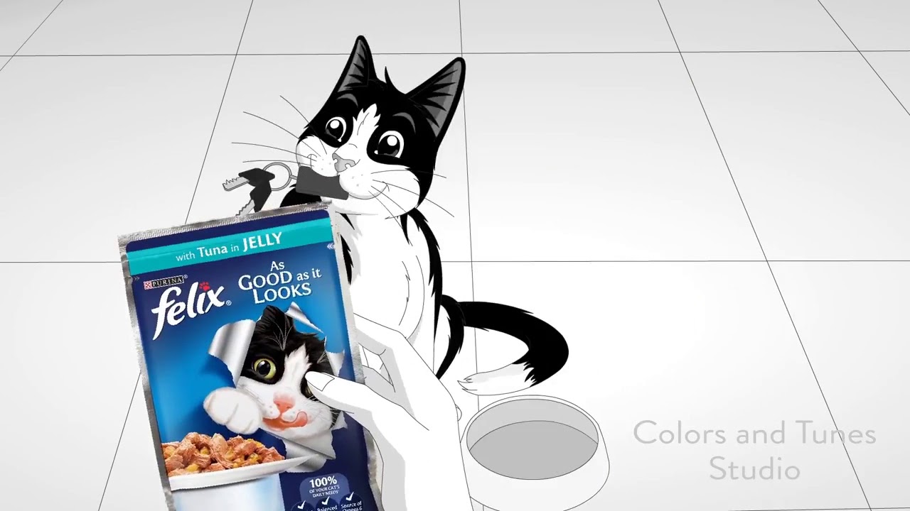 2D Cat Animation for Felix EP1 - YouTube