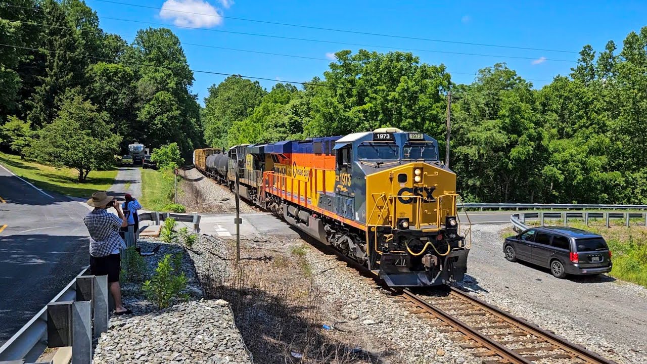 The Chessie lives on! CSX 1973, Chessie hopper on train through Mount ...