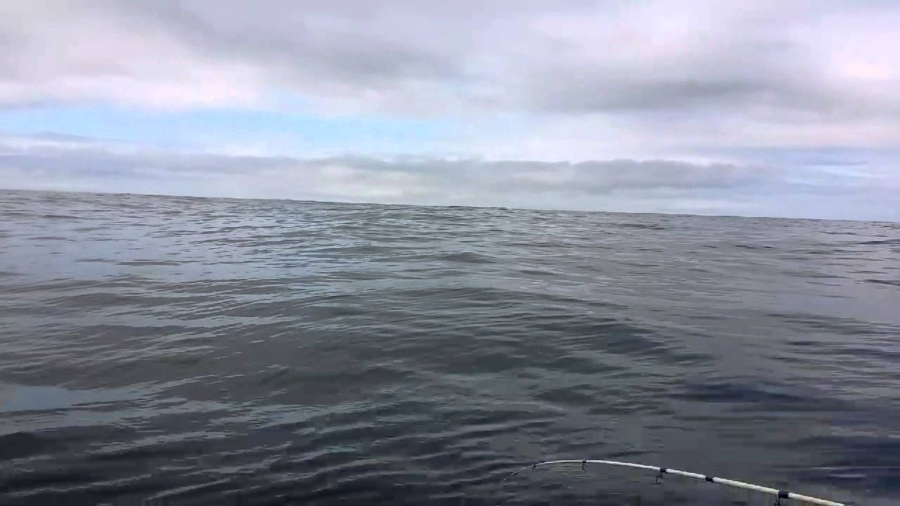 Bottom fishing at Newport Oregon - YouTube