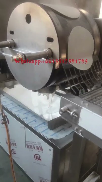 Automatic Spring Roll Pastry Sheet Making Machine | Spring Roll Wrapper ...