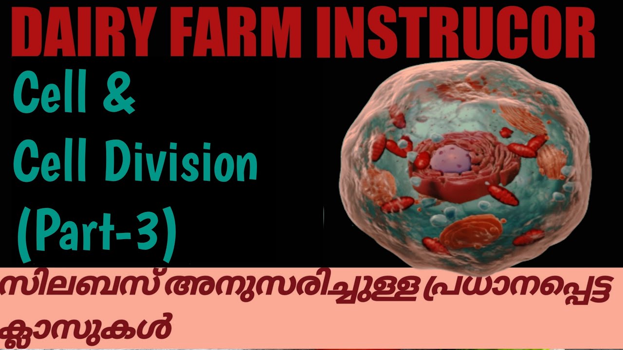 DIARY FARM INSTRUCTOR/Kerala Dairy Development Board/CELL AND CELL ...