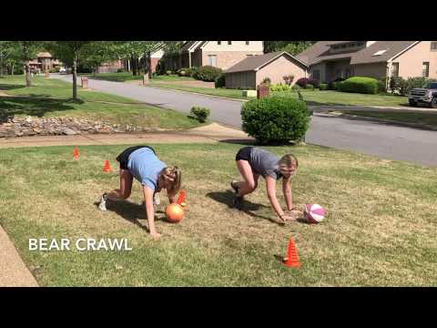 The Ball Race
