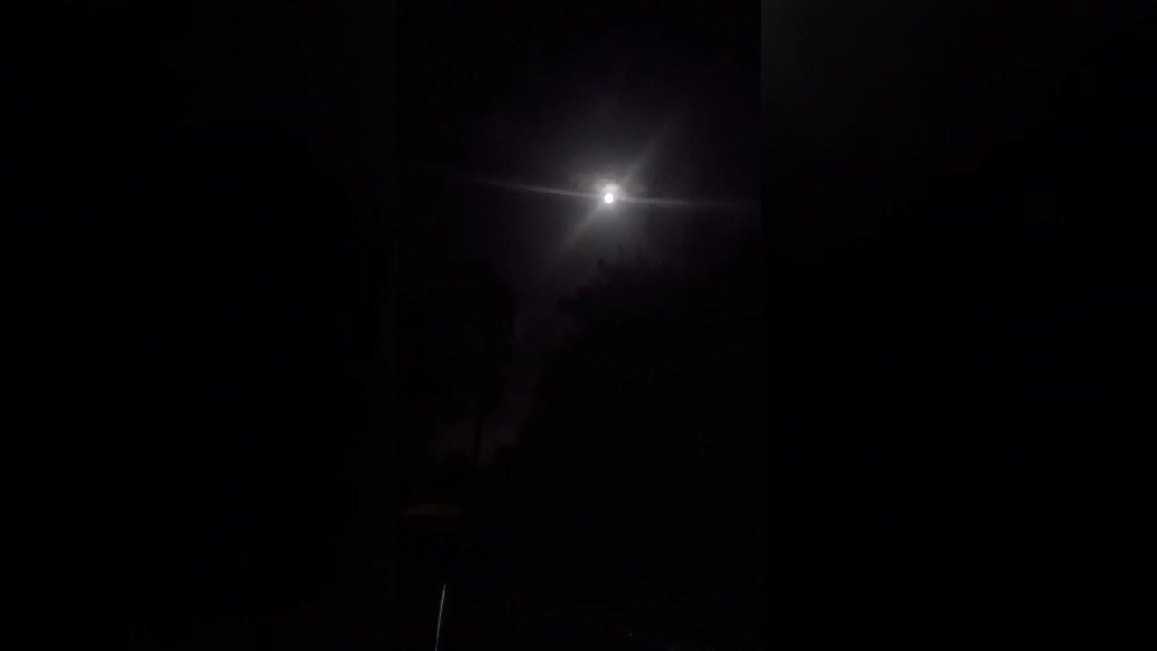 Coyotes howling at the moon. - YouTube