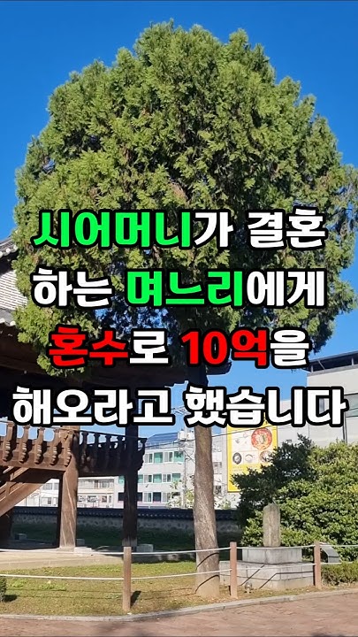 시어머니가 결혼하는 며느리에게 혼수로 10억을 해오라고 했습니다 Youtube