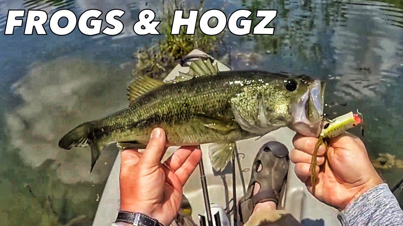 H2O Xpress Frog and Z-Man TRD HogZ Kayak Fishing - YouTube
