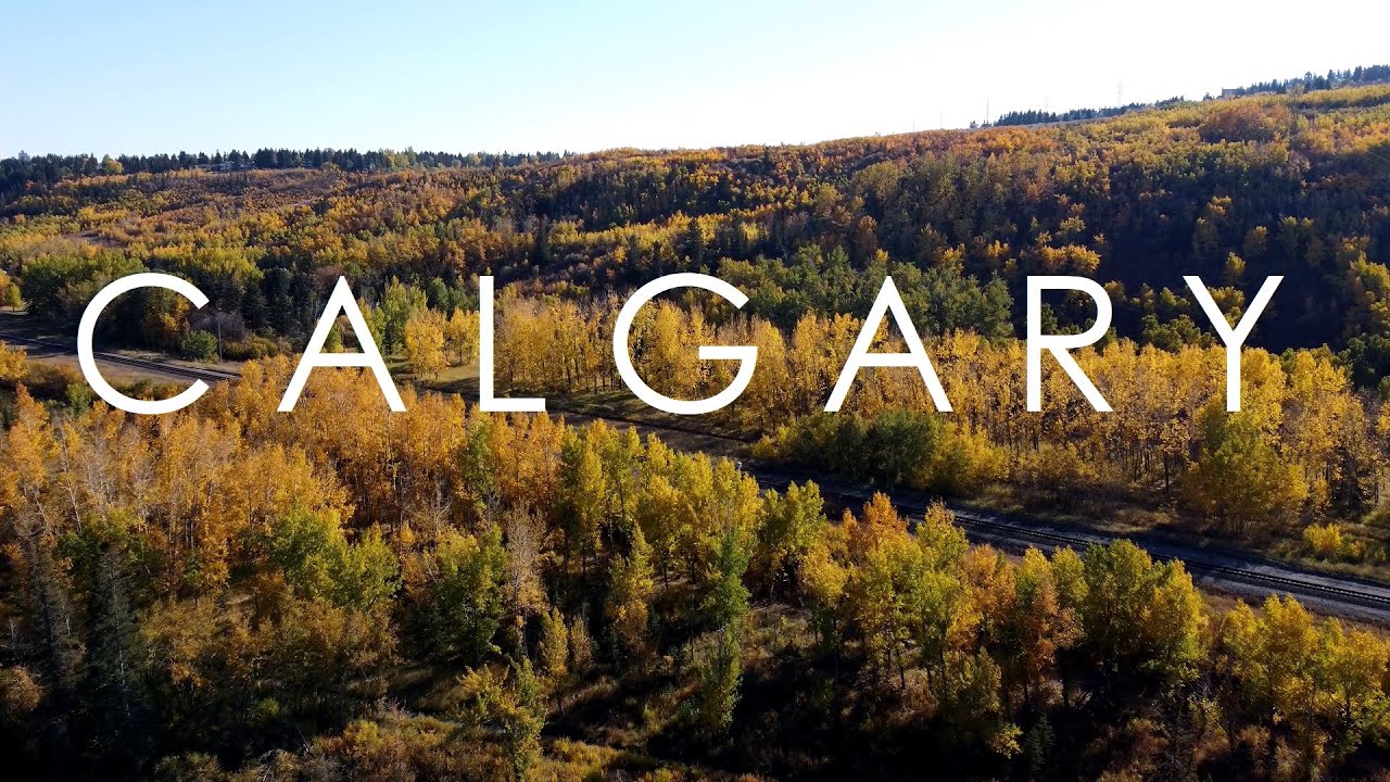 Calgary Autumn Leaves - YouTube