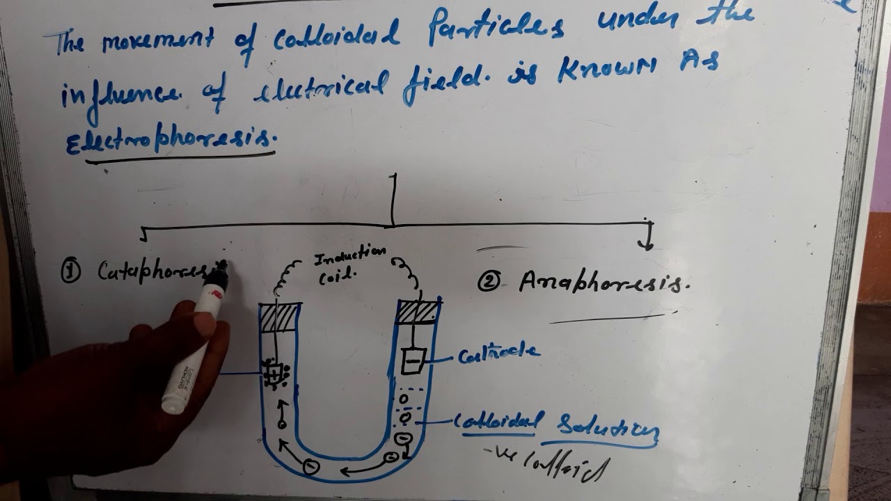 Electrical properties of colloidal solution/Electrophoresis/ Birendra ...