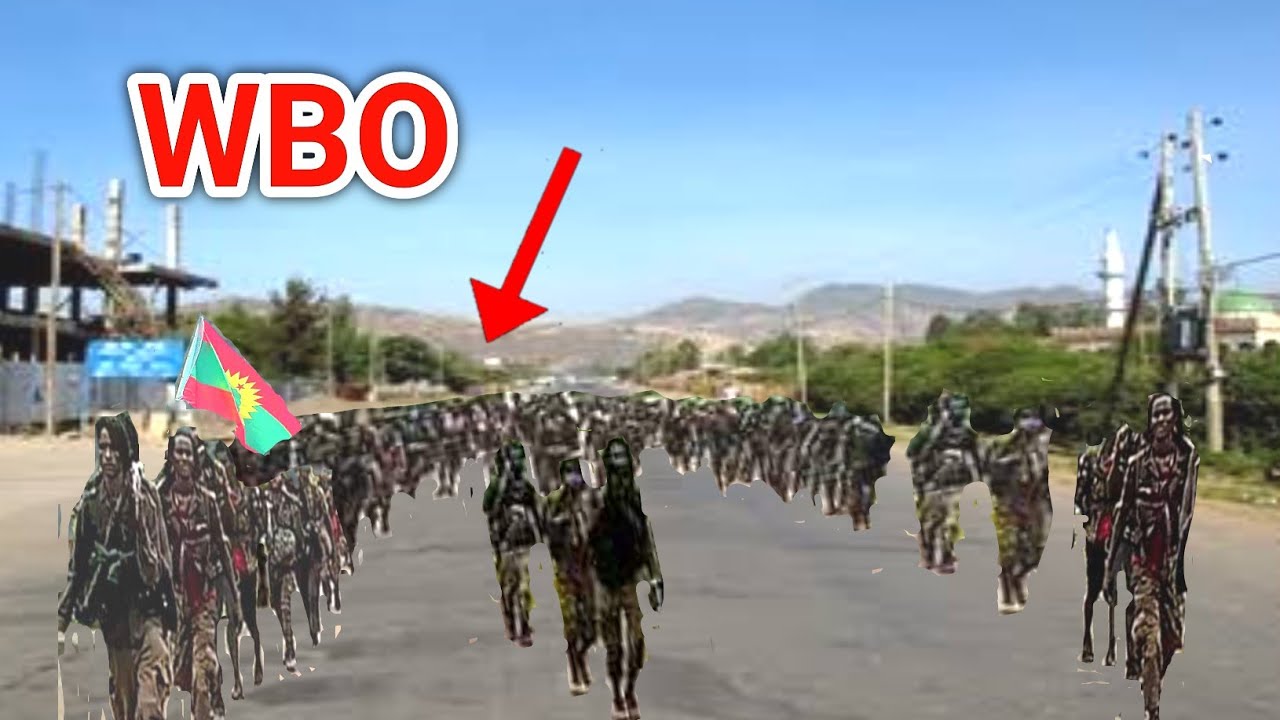 ODUU Hatattama WBO'n Godinaalee Wallagga hedduu qabahu|Moha Media - YouTube