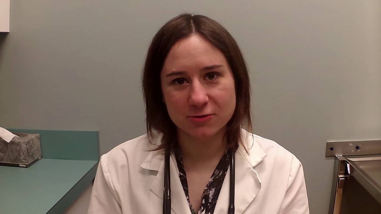 Meet the Vet: Dr. Sarah Oates of Naperville Animal Hospital - YouTube