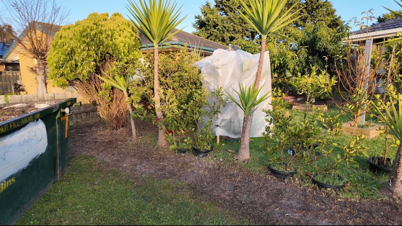 End of winter front yard clean up ready for spring 🥶😁🥰 - YouTube