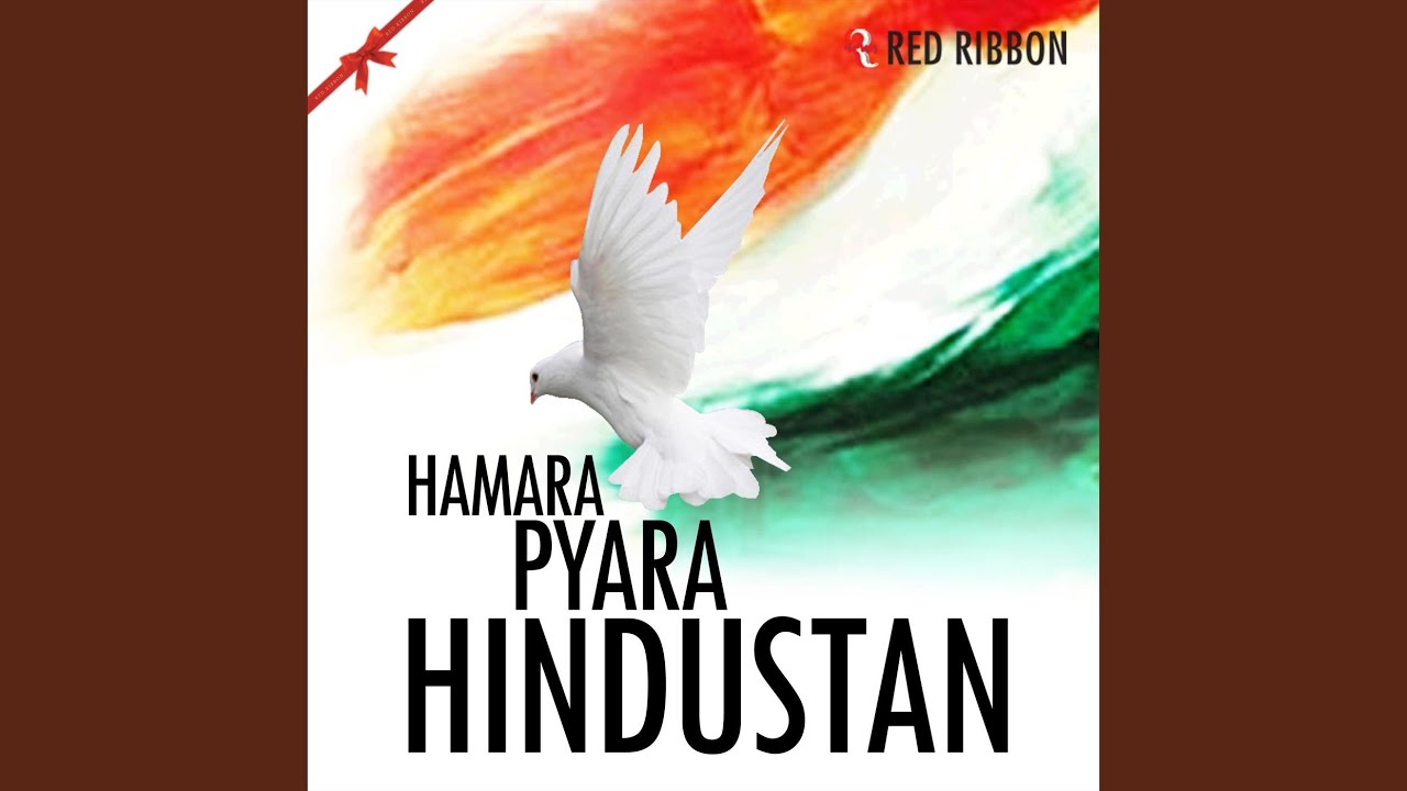 Hum Honge Kamyaab - Determination - YouTube