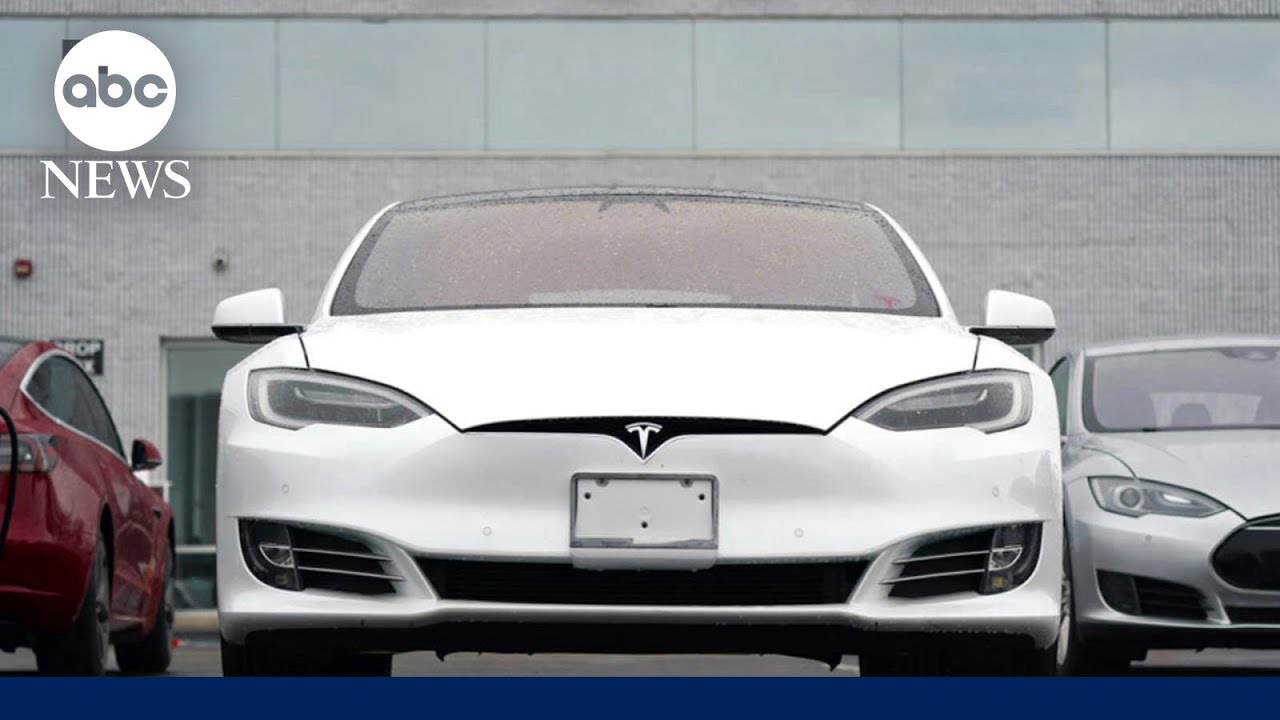 Tesla's 'brand damage has been global,' Wedbush analyst Dan Ives says ...