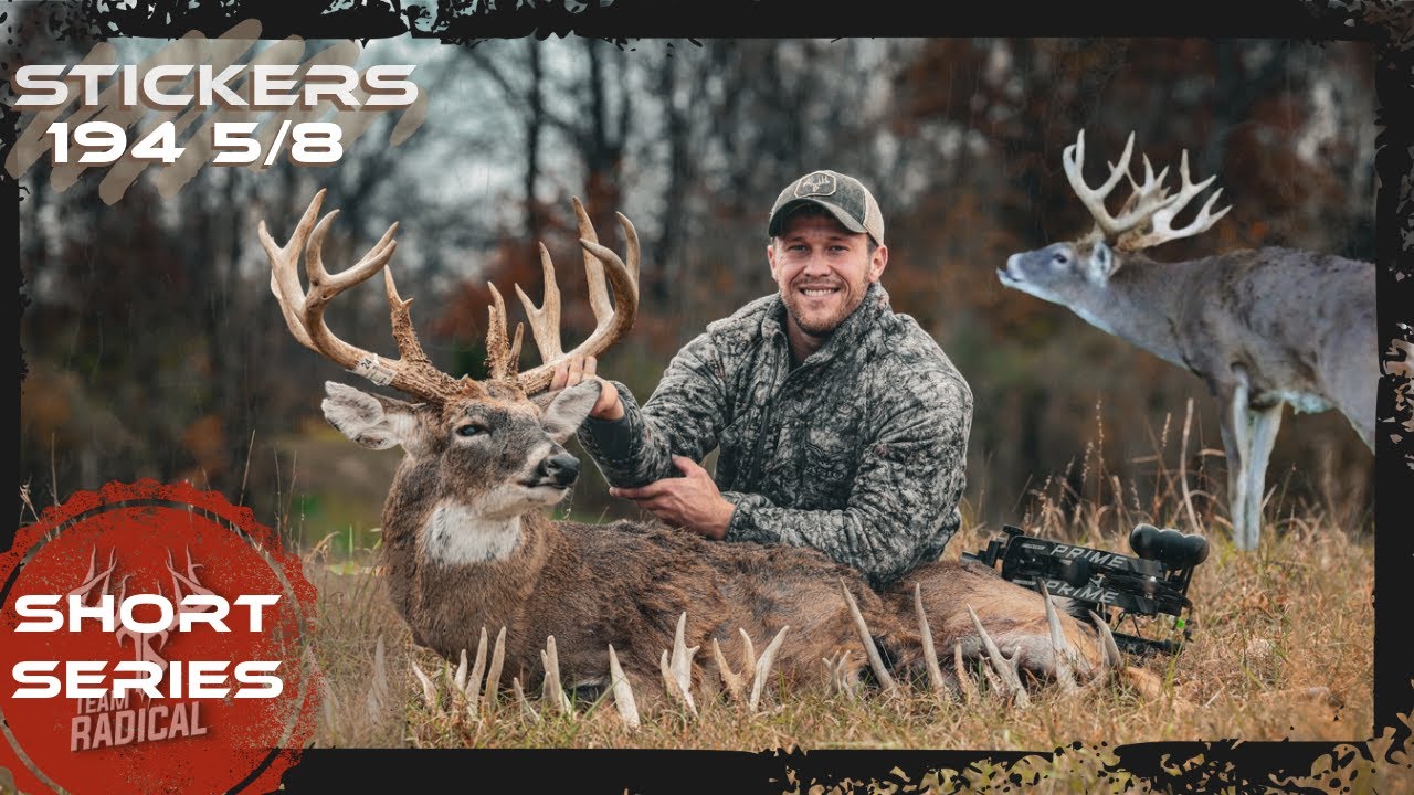 Incredible 194 5/8" Buck Stickers with a BOW (Short Series 2024) - YouTube
