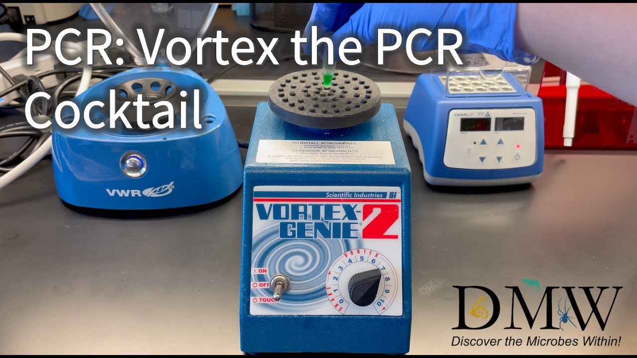 PCR: Vortex the PCR Cocktail - YouTube