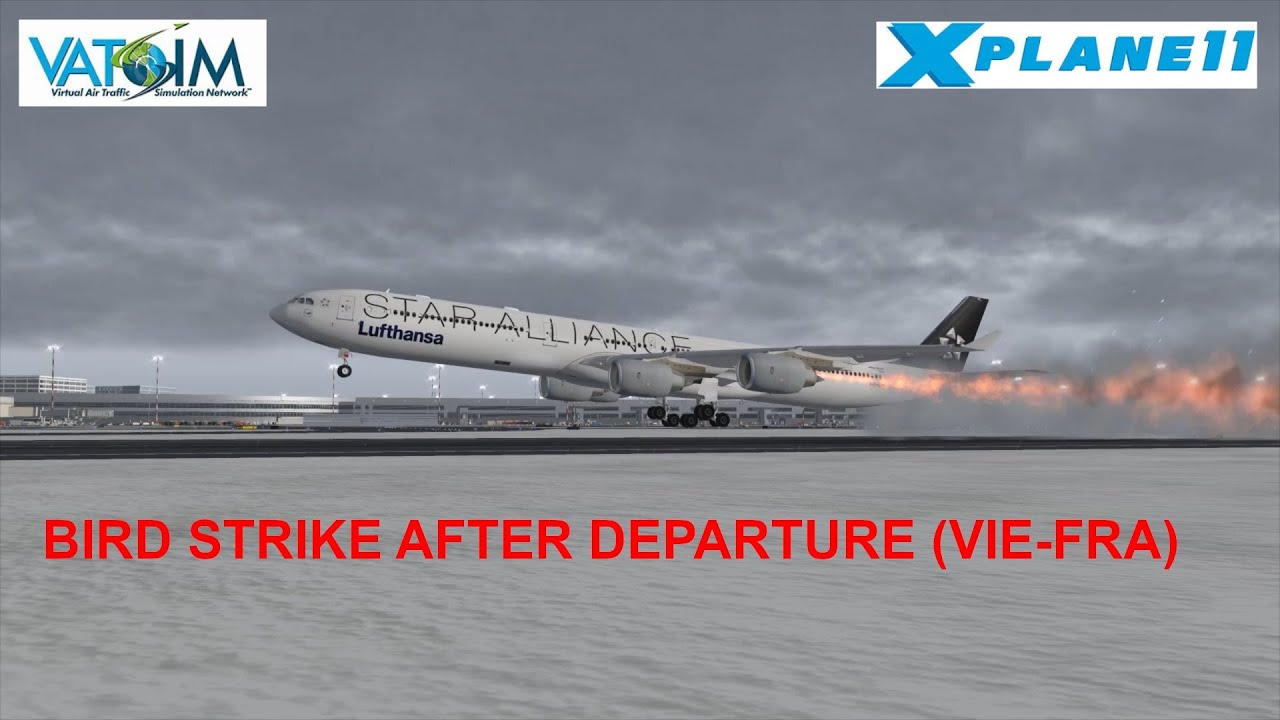X Plane 11 | LH A340-600 | Bird Strike leads to Engine fire after ...