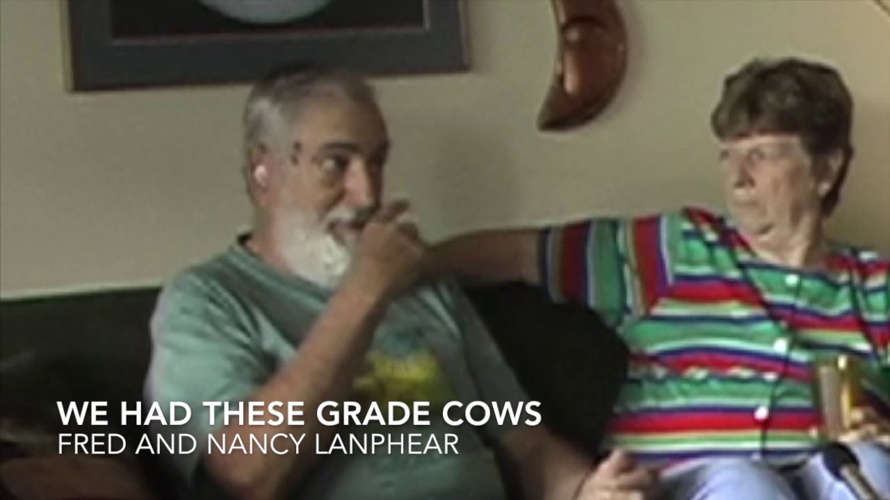 Fred and Nancy Lanphear We Had These Grade Cows - YouTube