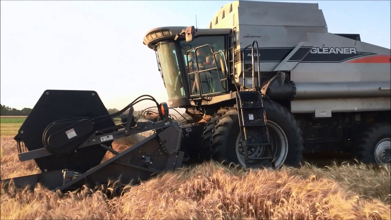 Inland View Farm - 2019 Wheat Harvest - YouTube