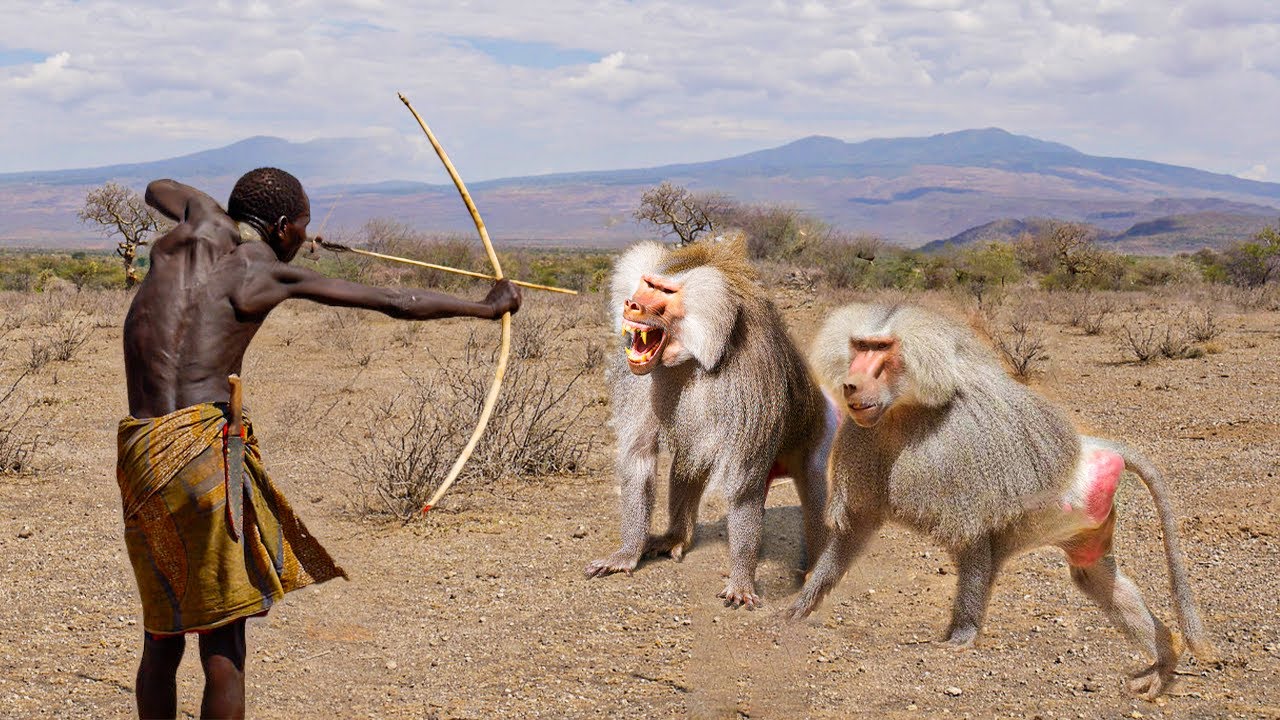 How The Hadzabe Tribe Made It Again With Baboons (INSANE!) - YouTube