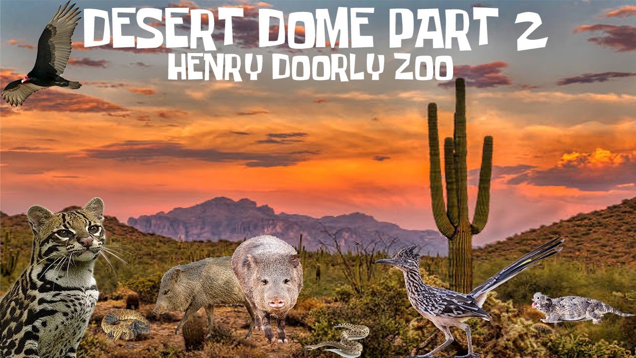 Uncaged Zoo Tours: Desert Dome at the Henry Doorly Zoo Part 2 ft ...