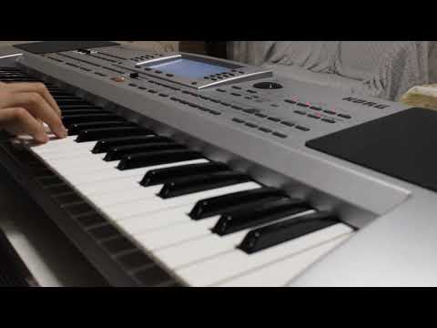 Sarı Gelin türküsü Korg pa80