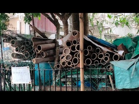 Mhell MTV Vlog is live - YouTube