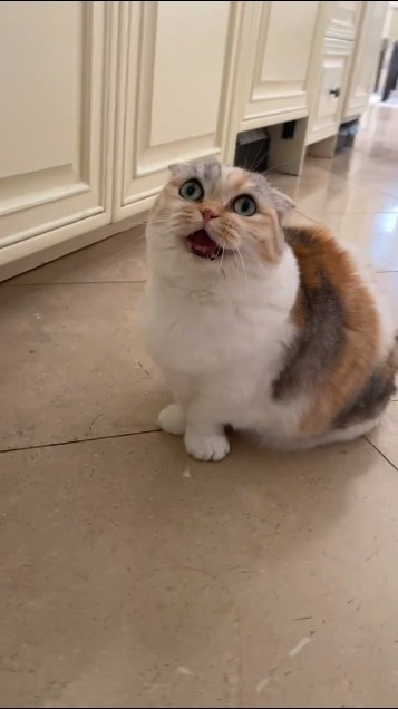 She fired me for doing the dishes without her 😭 She was napping! - YouTube