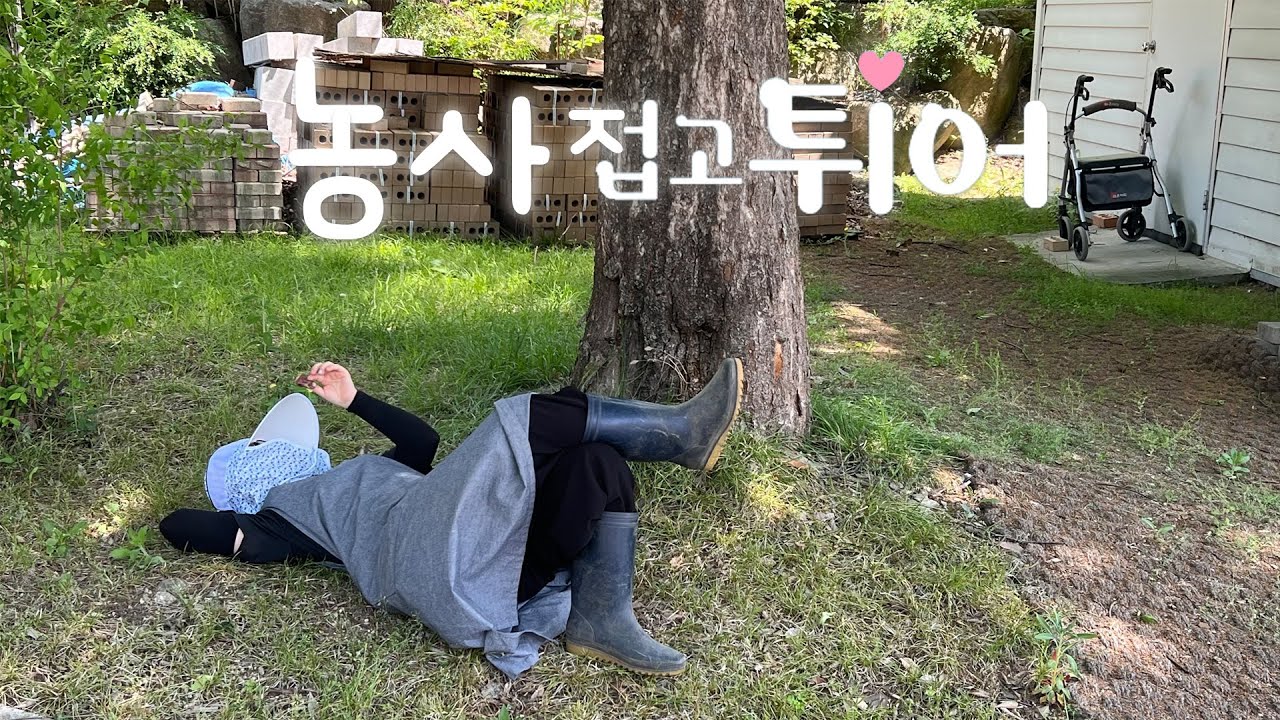 농사 브이로그 6화 🧑🌾 다 심었니 이제 정리와 관리를 하자 잡초 방지 매트 깔기 양배추 그물망 씌우기 비닐