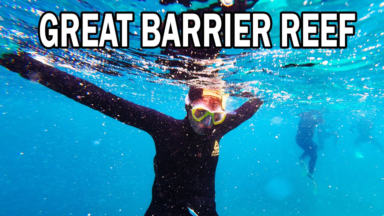 Snorkeling the Great Barrier Reef - YouTube