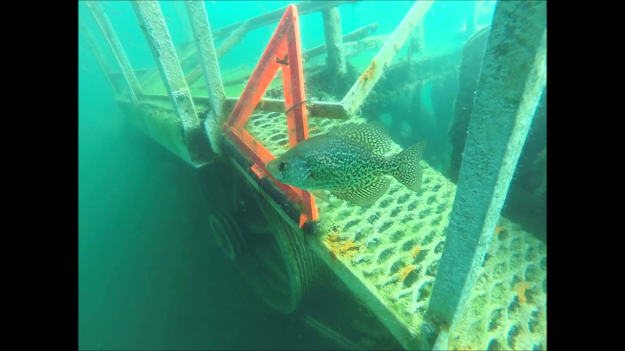 Diving at Haigh Quarry on 07/19/2014 - YouTube