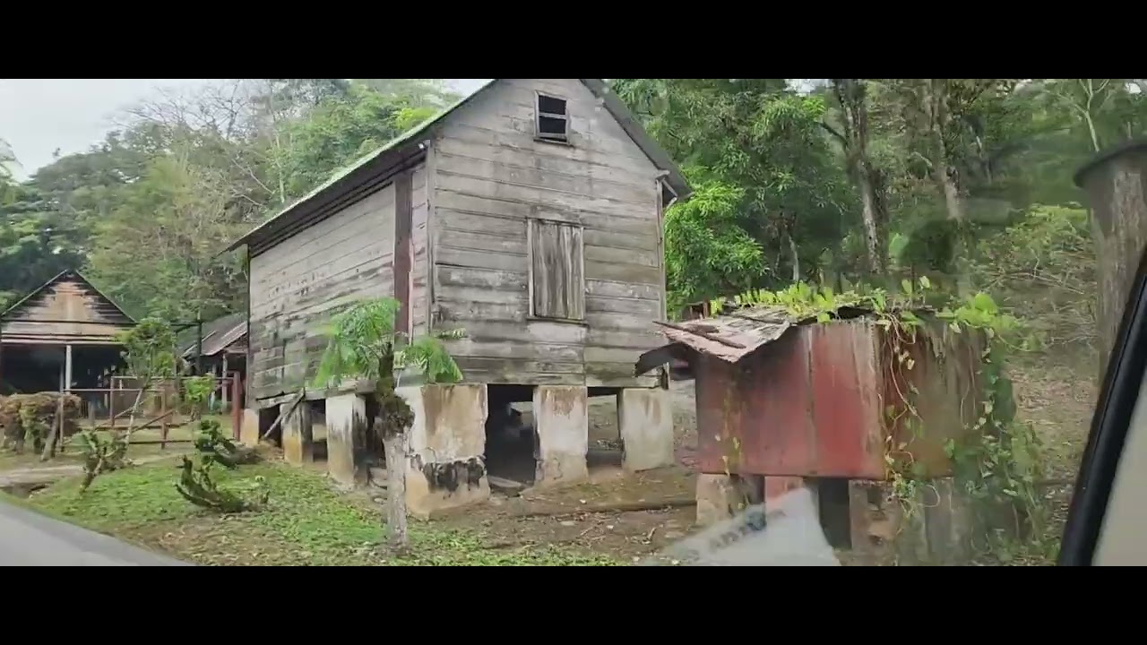 THE NATIONAL TRUST RIO CLARO HERITAGE TOUR TRINIDAD 🇹🇹 - YouTube