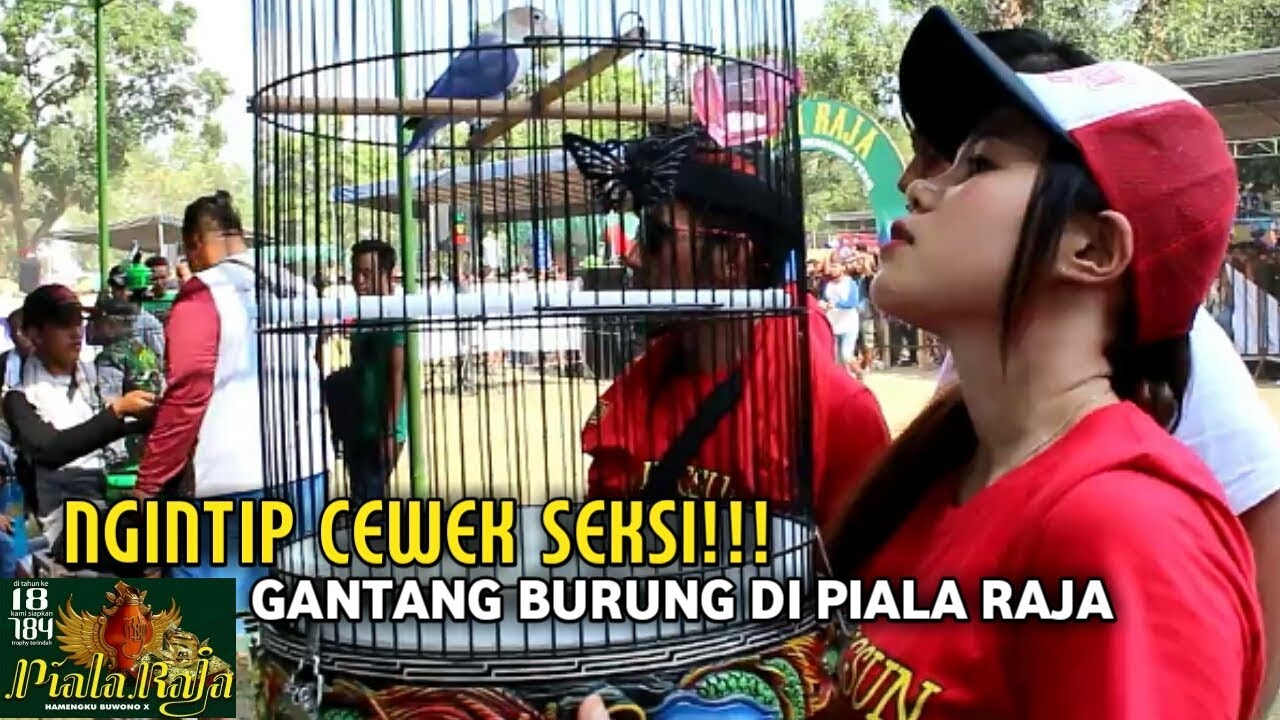 PIALA RAJA XIX : WOW!! SI CANTIK IKUT GANTANG BURUNG DI PIALA RAJA ...