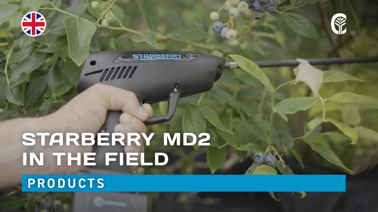 🇬🇧 Products presentation: CAMPAGNOLA STARBERRY MD2 - YouTube